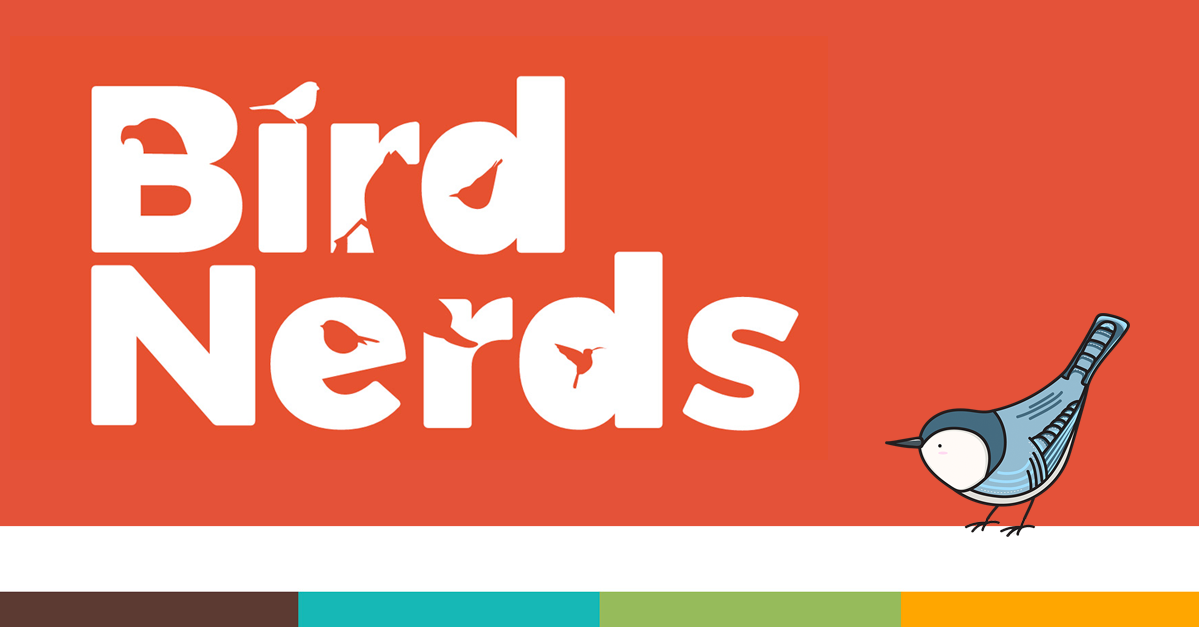 Bird Nerds | Home